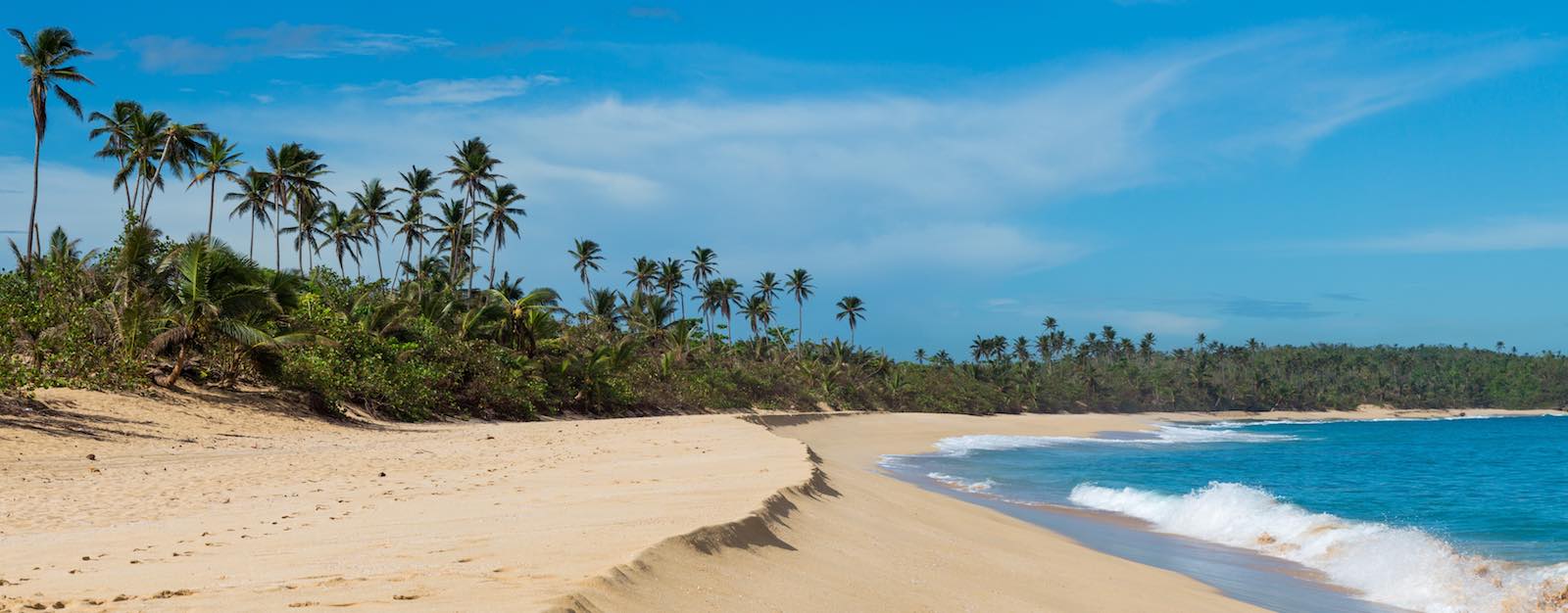 Is Puerto Rico a Tax Haven?